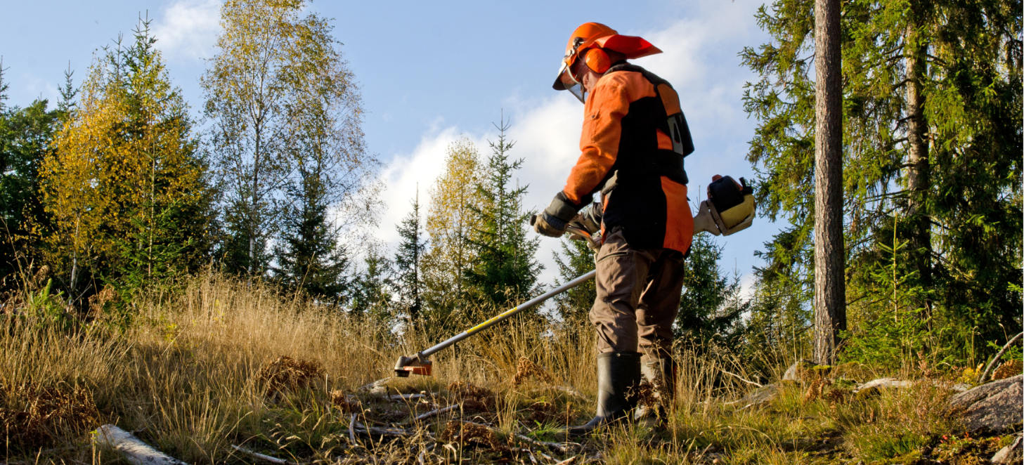 Bush Cutter (Trimmer) | LANTRA Training Courses - TUPPCO