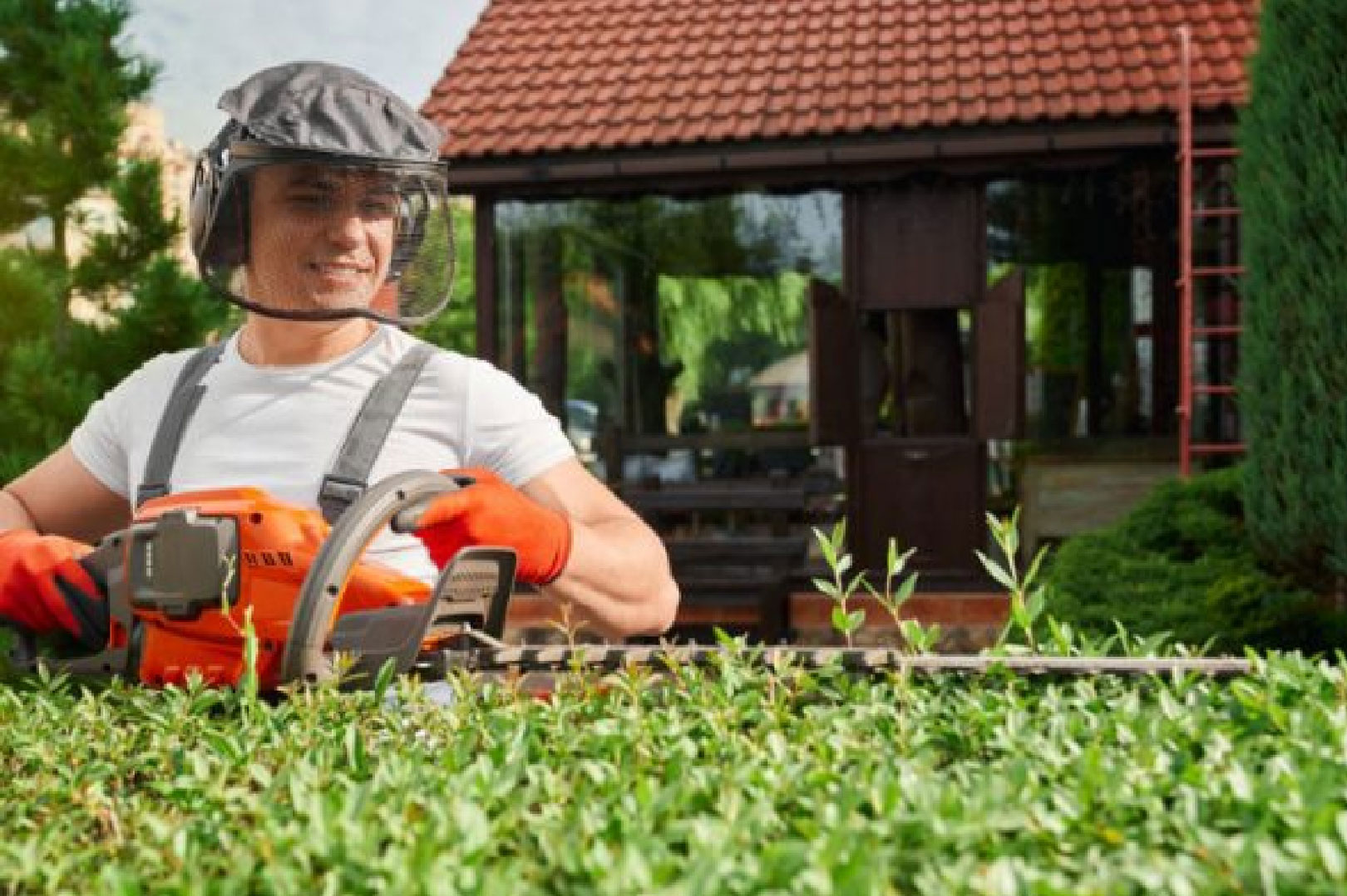 Lantra Handheld Hedge Trimmer Training Course | Onsite | Tuppco